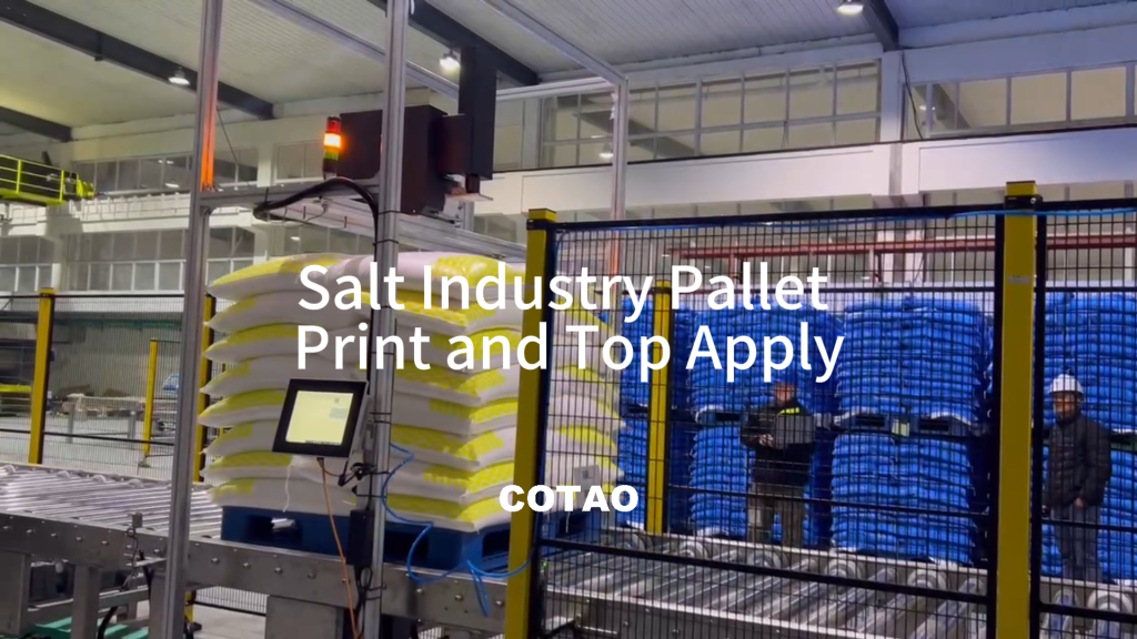 H400A High Printer Applicator - Salt Industry Pallet Print and Top ...